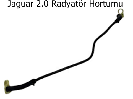 Jaguar 2.0 Radyatör Hortumu C2D52013
