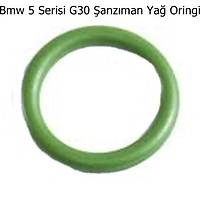 Bmw 5 Serisi G30 Şanzıman Yağ Oringi 17227613656