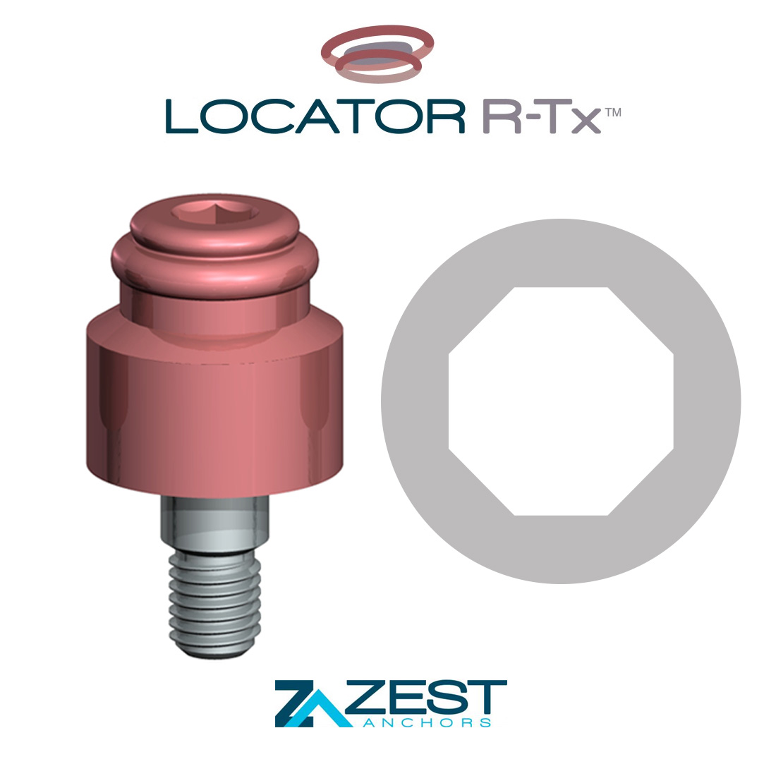 Zest - Locator R-Tx ( Yeni Locator) Abutment Takımı