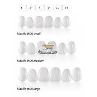 COLTENE WHALEDENT Componeer Kompozit Veneer Mini Set « Dentalsepet.com