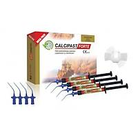 CERKAMED Calcipast Forte Mega Kalsiyum Hidroksit Pat 4 x 2,1 gr ...