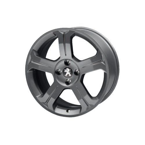 ALAŞIM JANT « Peugeot 307 Yedek Parça