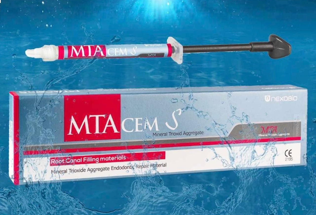 Nexobio MTA Cem S Kanal Dolgu Patı