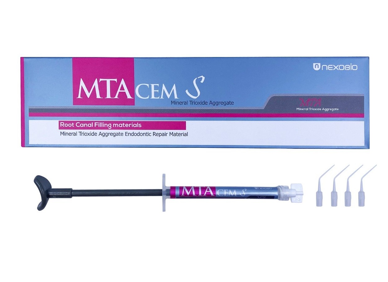 Nexobio MTA Cem S Kanal Dolgu Patı