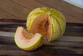 10+ Adet Geleneksel Kokulu Fransız Kavunu Tohumu « tohumdunyasi.com.tr